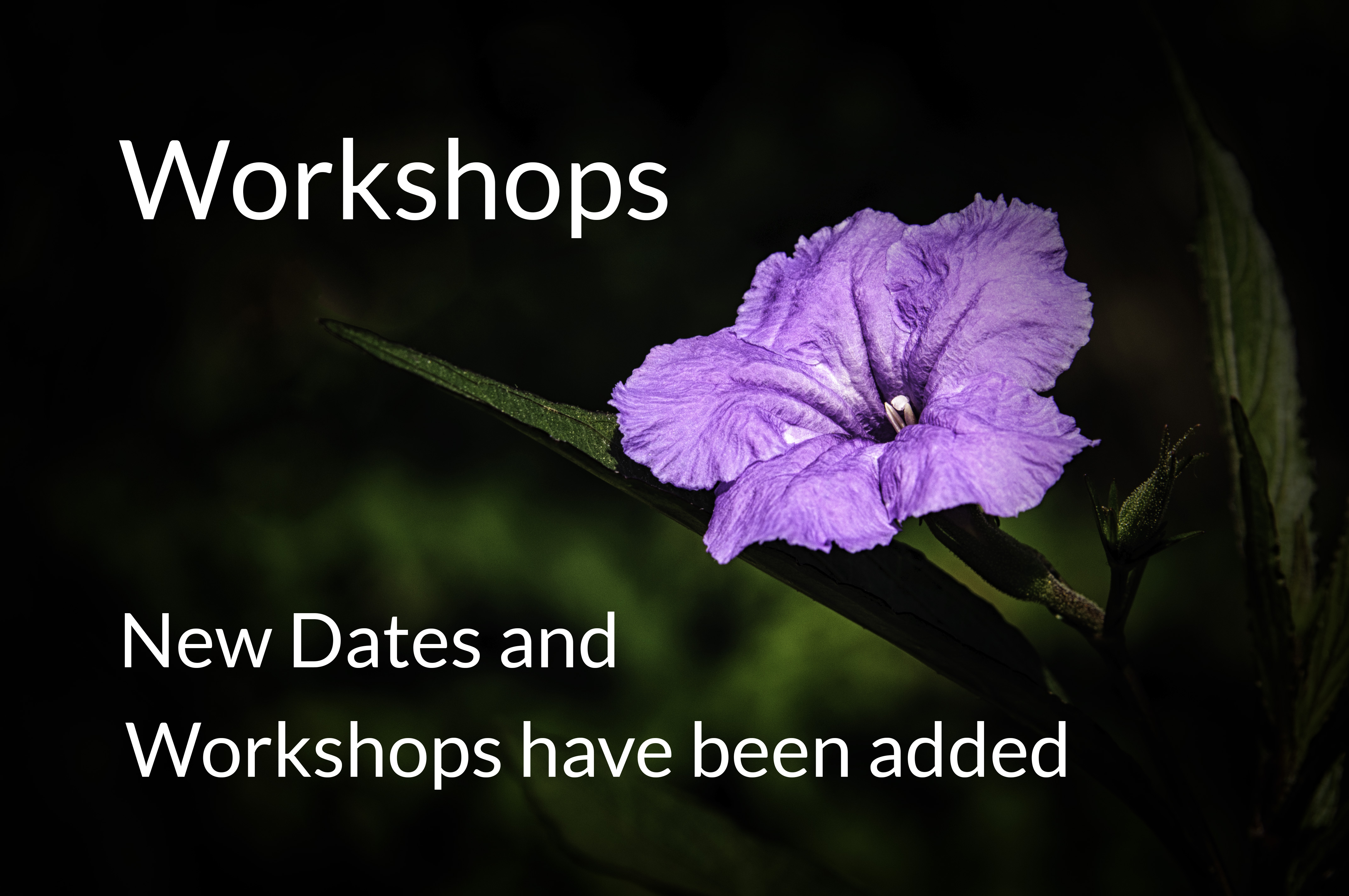 Workshops June 2017 Hardiman Images workshops-june-2017-hardiman-images